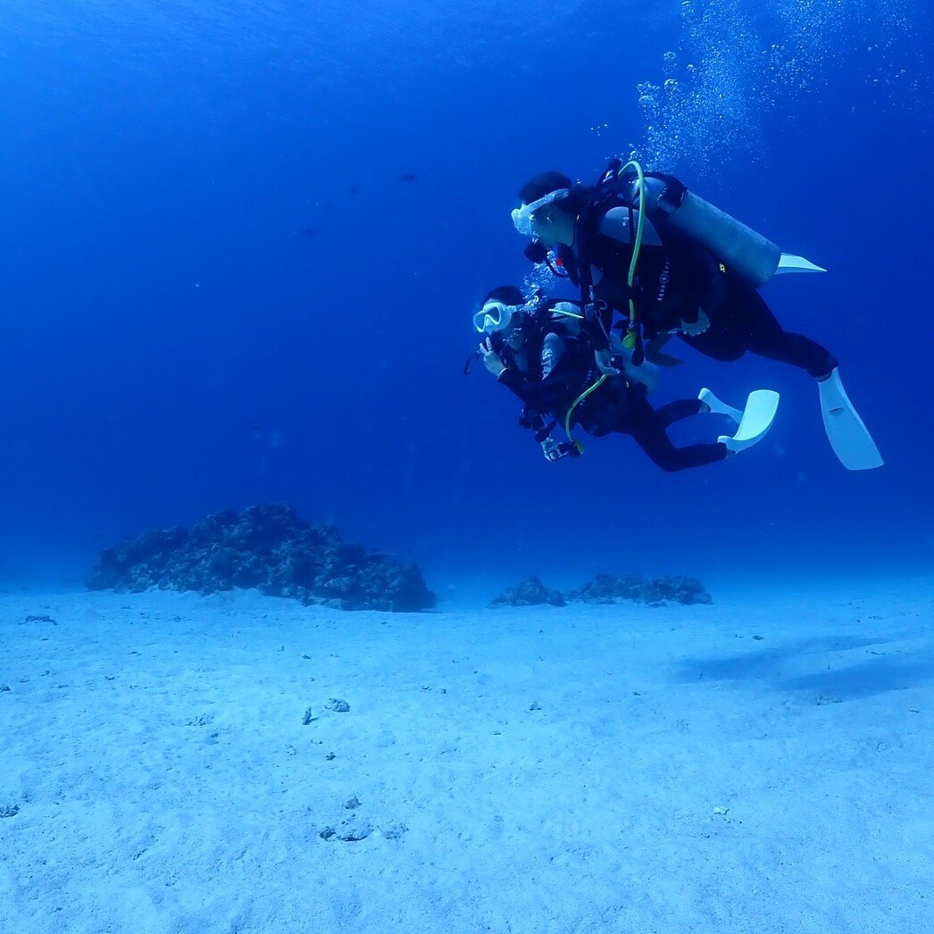 MARINE ACTIVITY | SALTY BEACH CLUB